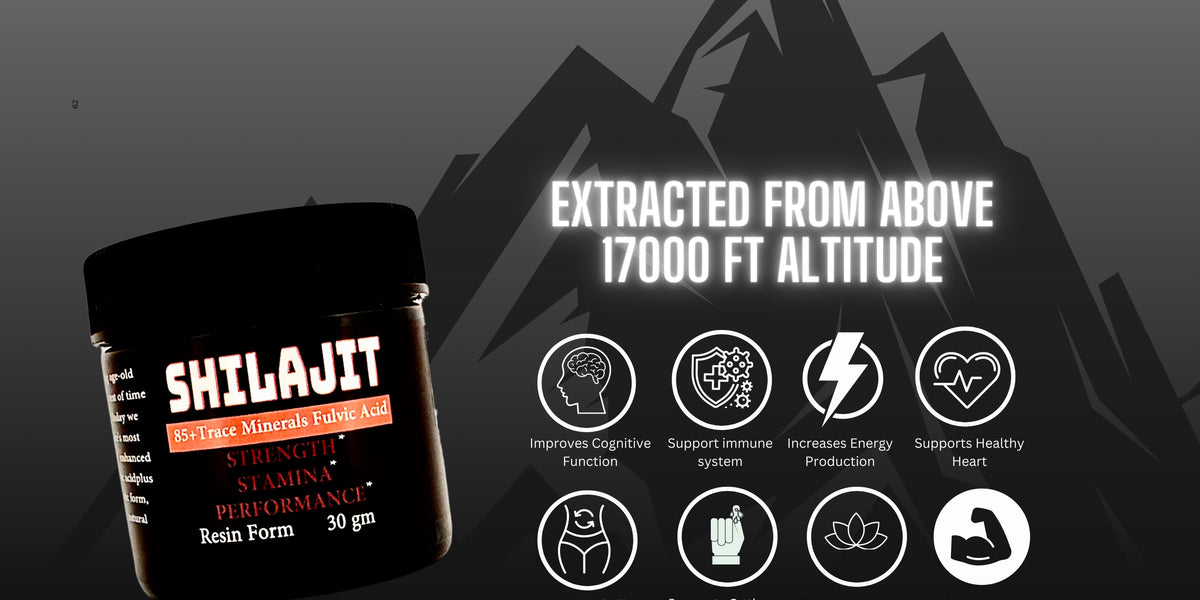 Organic 100% Pure Himalayan Shilajit Resin — African Indian Herbs